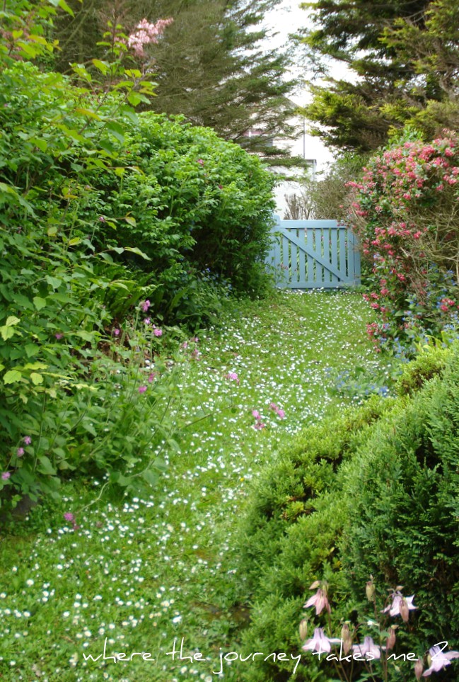 bEAching ~ down the daisy path – where the journey takes me 2
