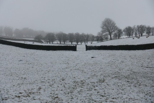 treasury ~ miss moneythrift – where the journey takes me 2